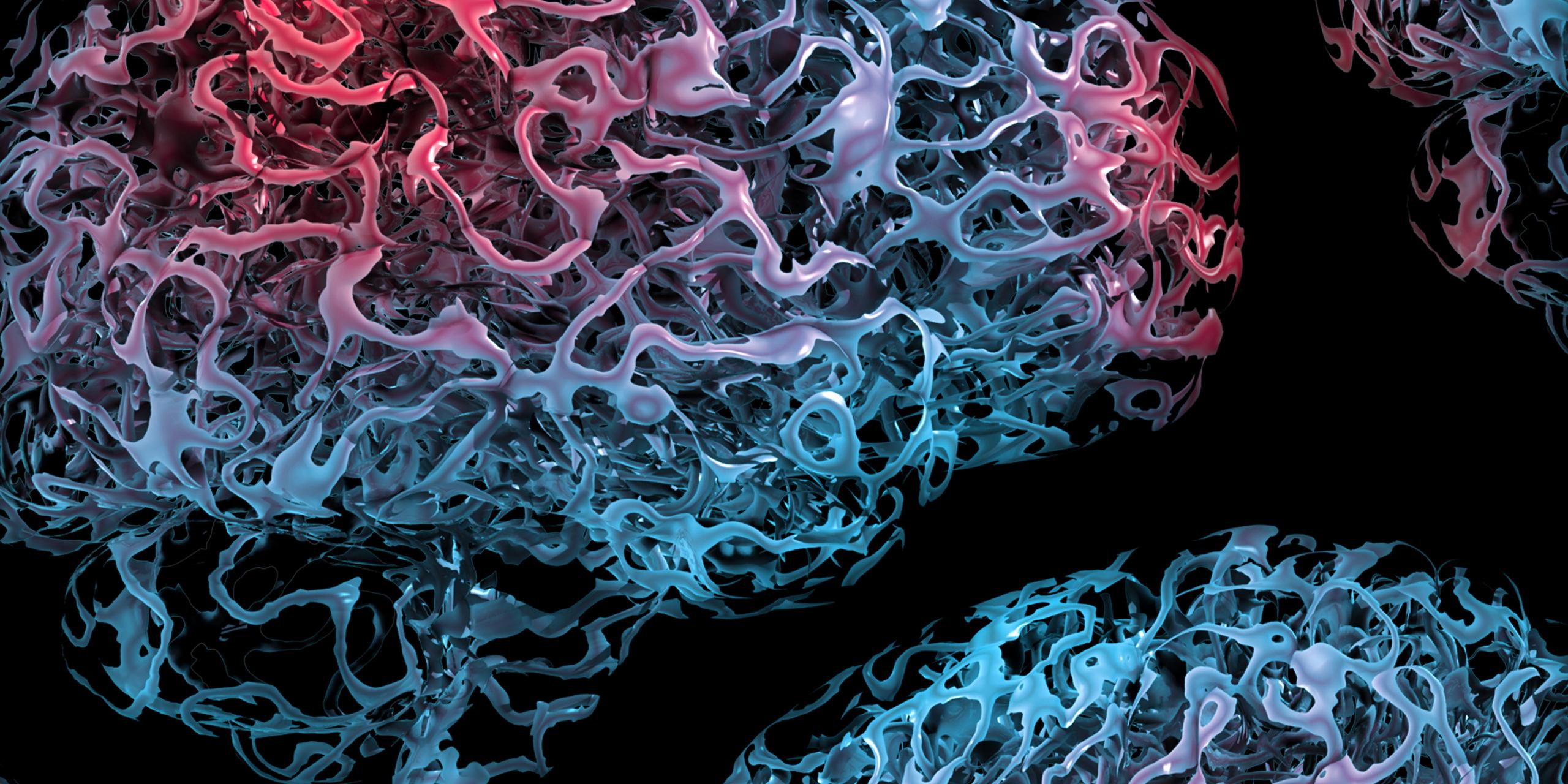 What is EMBL Australia? | EMBL Australia