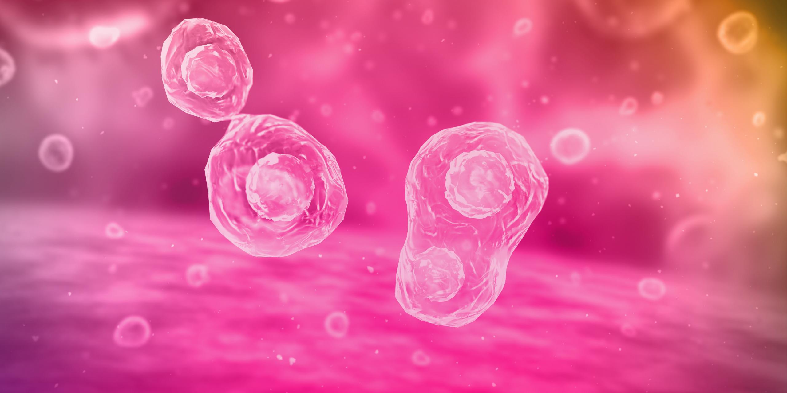 EMBL Australia - ARMI Recruitment Panelist Profiles | EMBL Australia