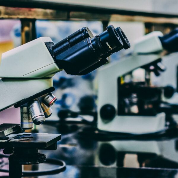 Training Opportunities | EMBL Australia