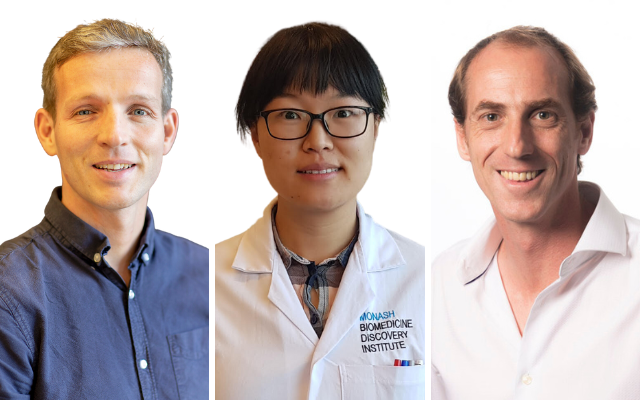 Three group leaders awarded ARC Discovery Project grants | EMBL Australia