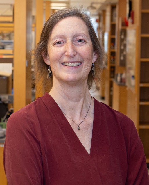 Prof Mary Munson: Unravelling molecular mechanisms of intracellular ...